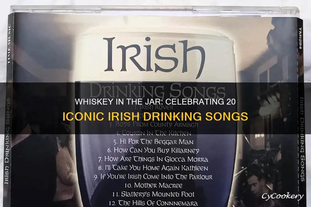 Whiskey In The Jar: Celebrating 20 Iconic Irish Drinking Songs | CyCookery