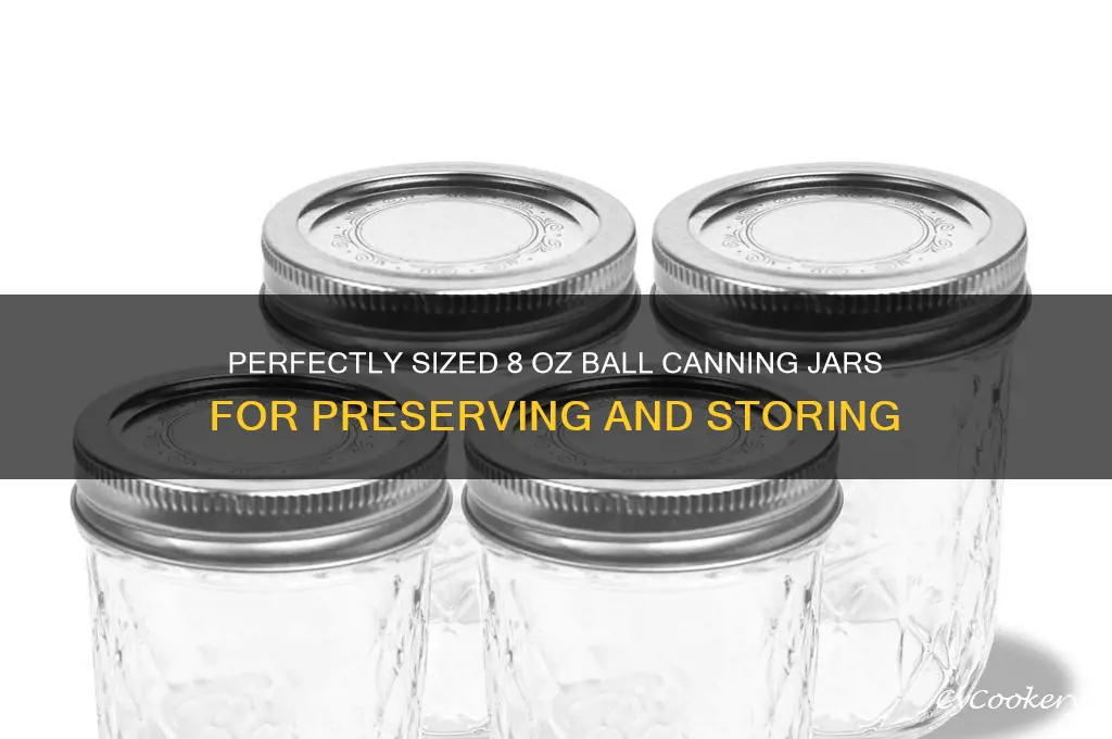 Perfectly Sized 8 Oz Ball Canning Jars For Preserving And Storing ...