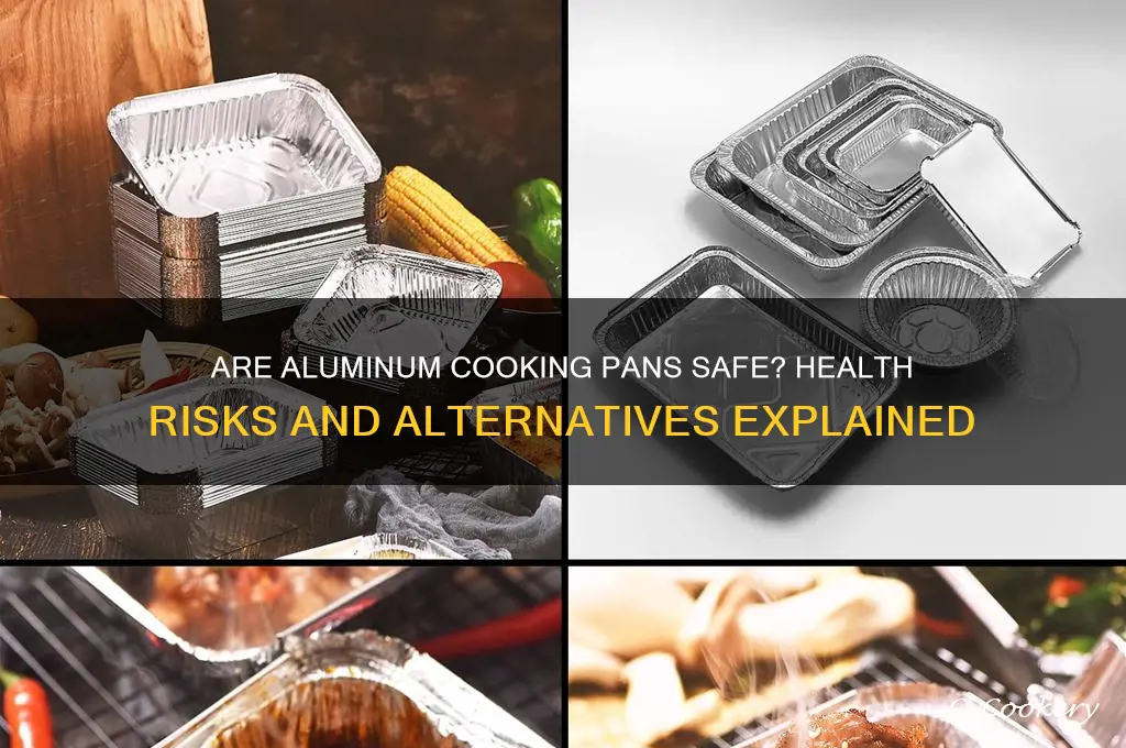 Are Aluminum Cooking Pans Safe? Health Risks And Alternatives Explained ...