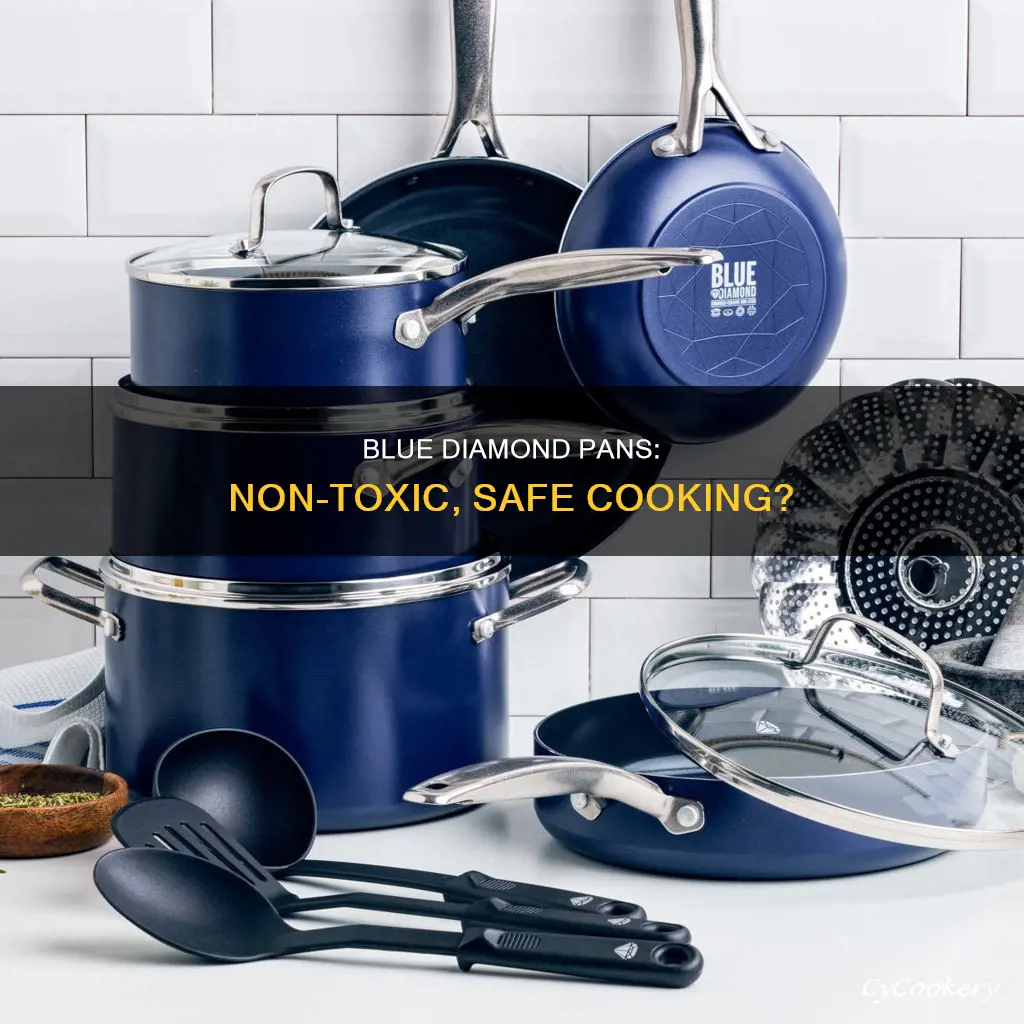 Blue Diamond Pans: Non-Toxic, Safe Cooking? | CyCookery