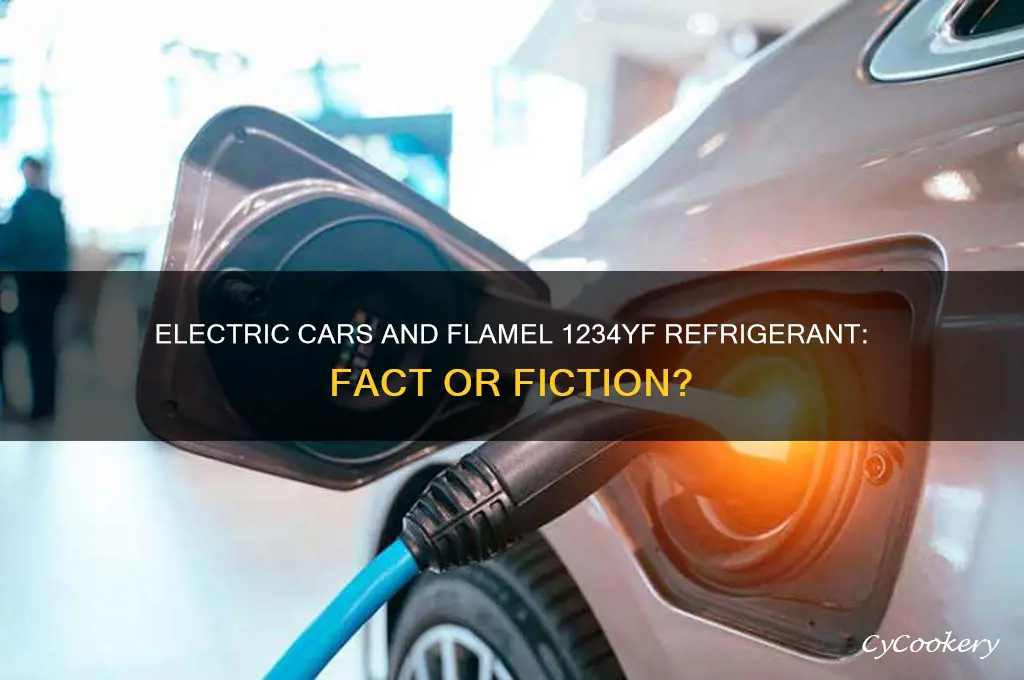 Electric Cars And Flamel 1234Yf Refrigerant: Fact Or Fiction? | CyCookery