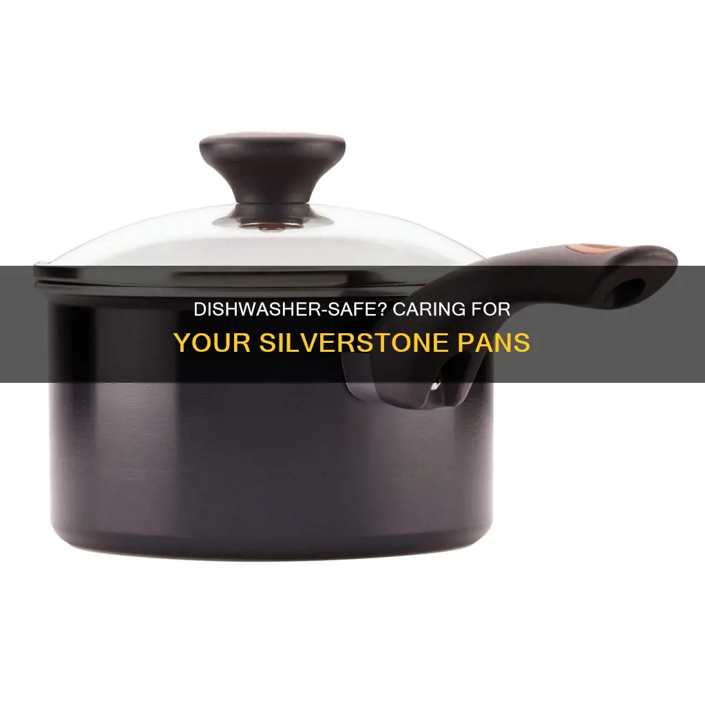 Dishwasher-Safe? Caring For Your Silverstone Pans | CyCookery