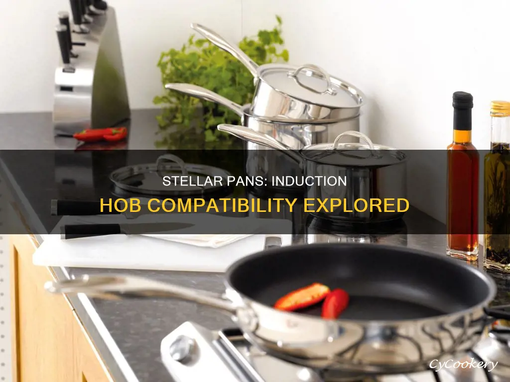 Stellar Pans: Induction Hob Compatibility Explored | CyCookery