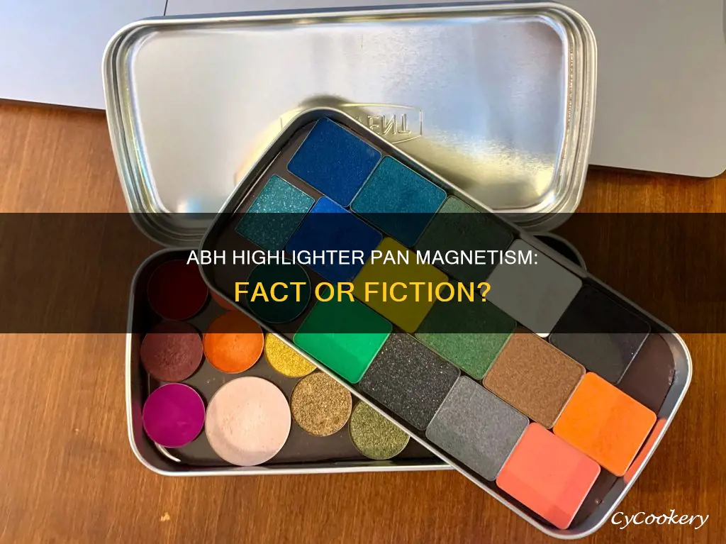 Abh Highlighter Pan Magnetism: Fact Or Fiction? | CyCookery