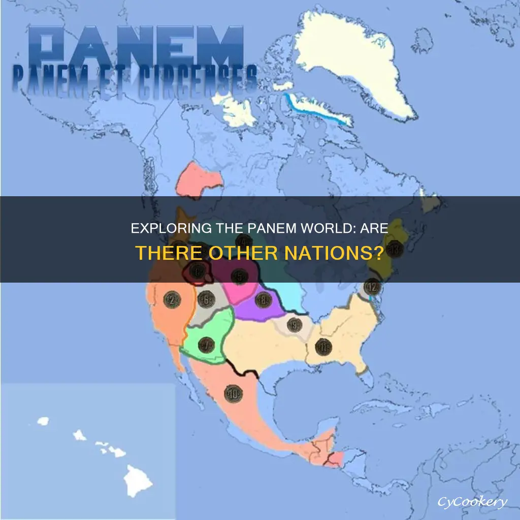 Exploring The Panem World: Are There Other Nations? | CyCookery