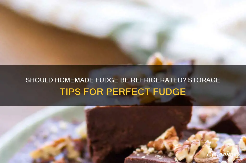 Should Homemade Fudge Be Refrigerated? Storage Tips For Perfect Fudge ...