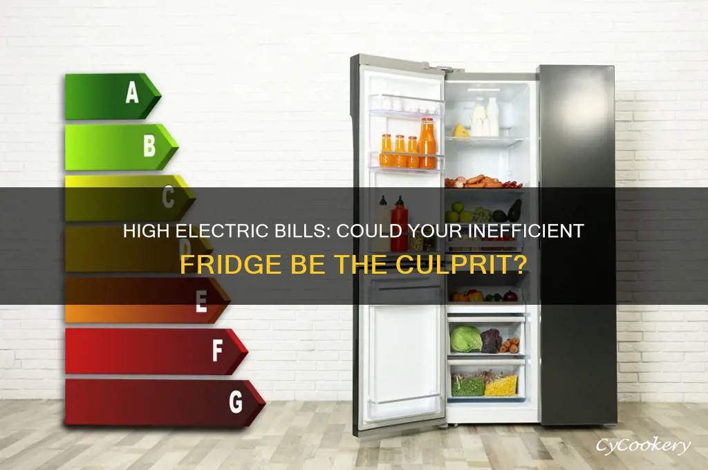 High Electric Bills: Could Your Inefficient Fridge Be The Culprit ...
