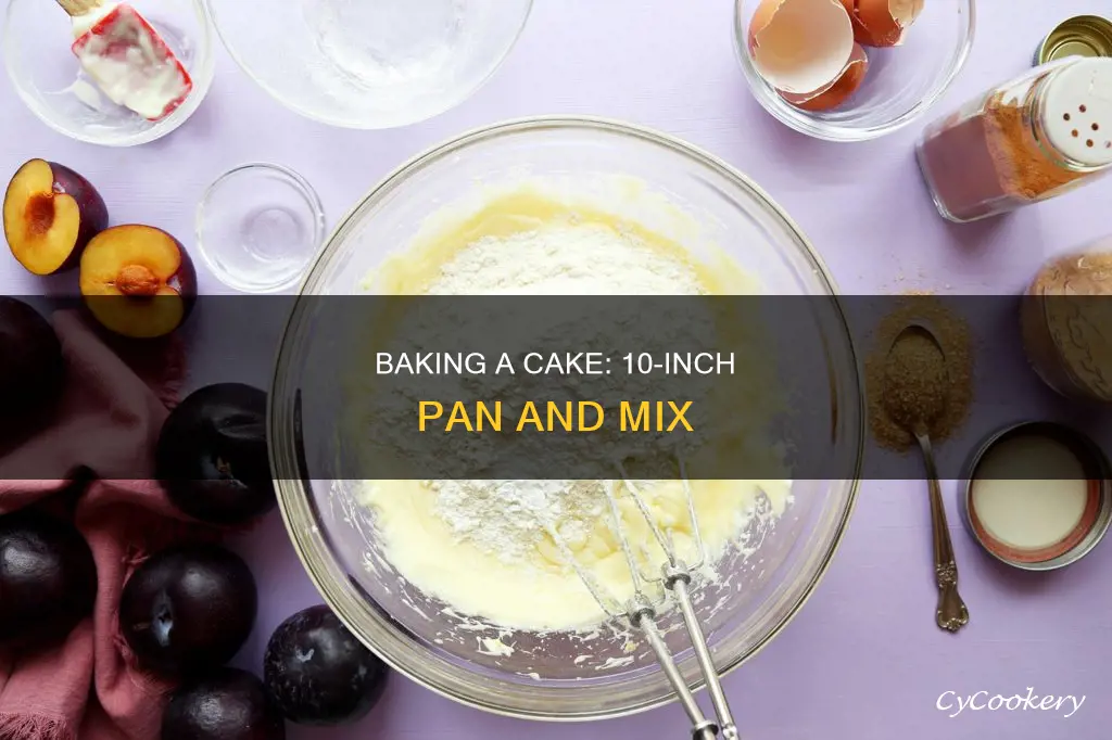 Baking A Cake: 10-Inch Pan And Mix | CyCookery