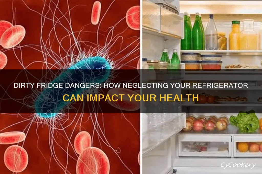 Dirty Fridge Dangers: How Neglecting Your Refrigerator Can Impact Your ...