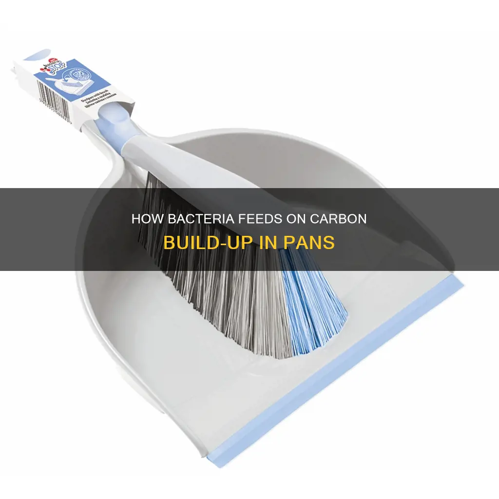 How Bacteria Feeds On Carbon Build-Up In Pans | CyCookery