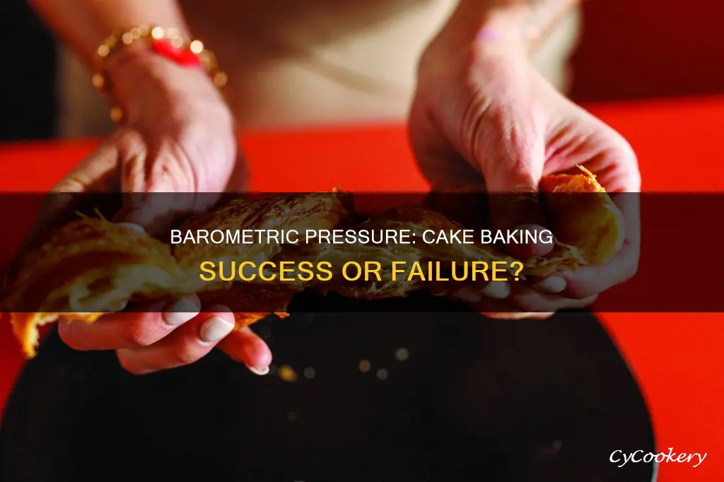 Barometric Pressure: Cake Baking Success Or Failure? | CyCookery