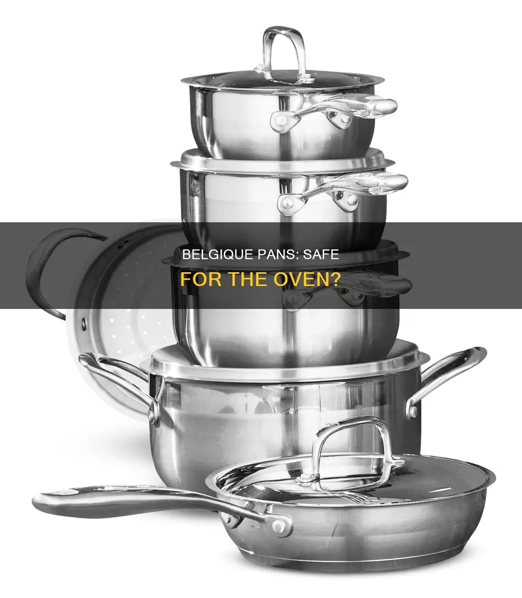 Belgique Pans: Safe For The Oven? | CyCookery