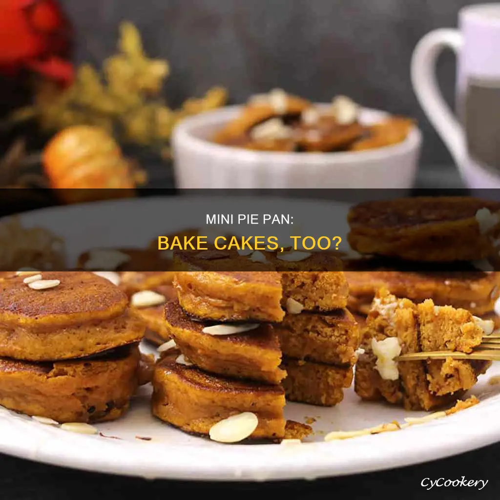 Mini Pie Pan: Bake Cakes, Too? | CyCookery