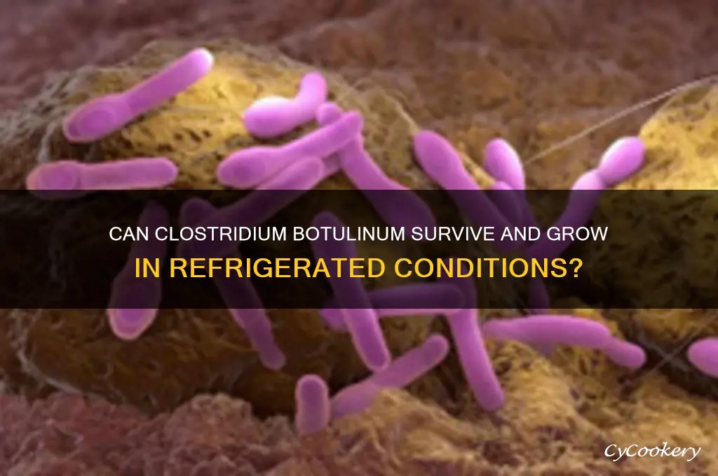 Can Clostridium Botulinum Survive And Grow In Refrigerated Conditions ...