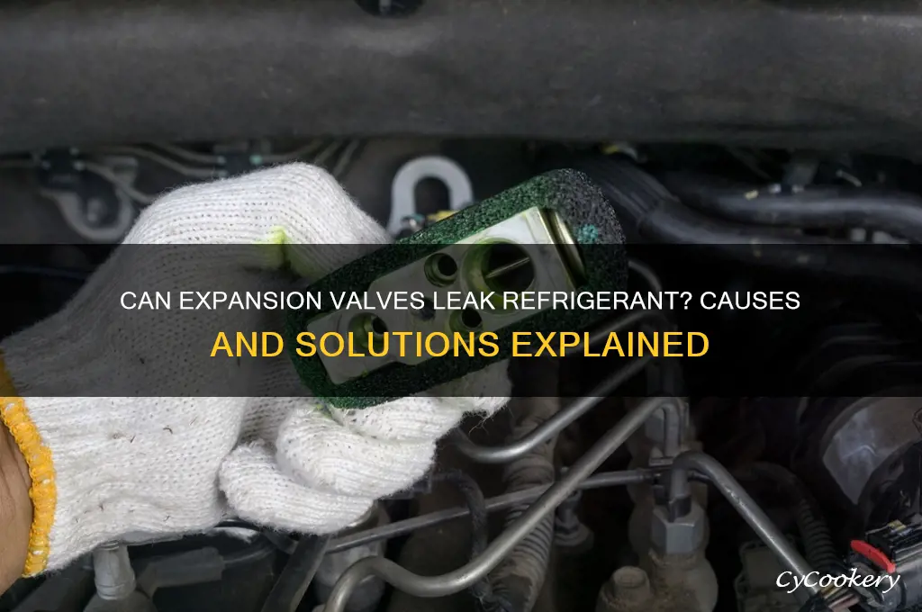 Can Expansion Valves Leak Refrigerant? Causes And Solutions Explained ...