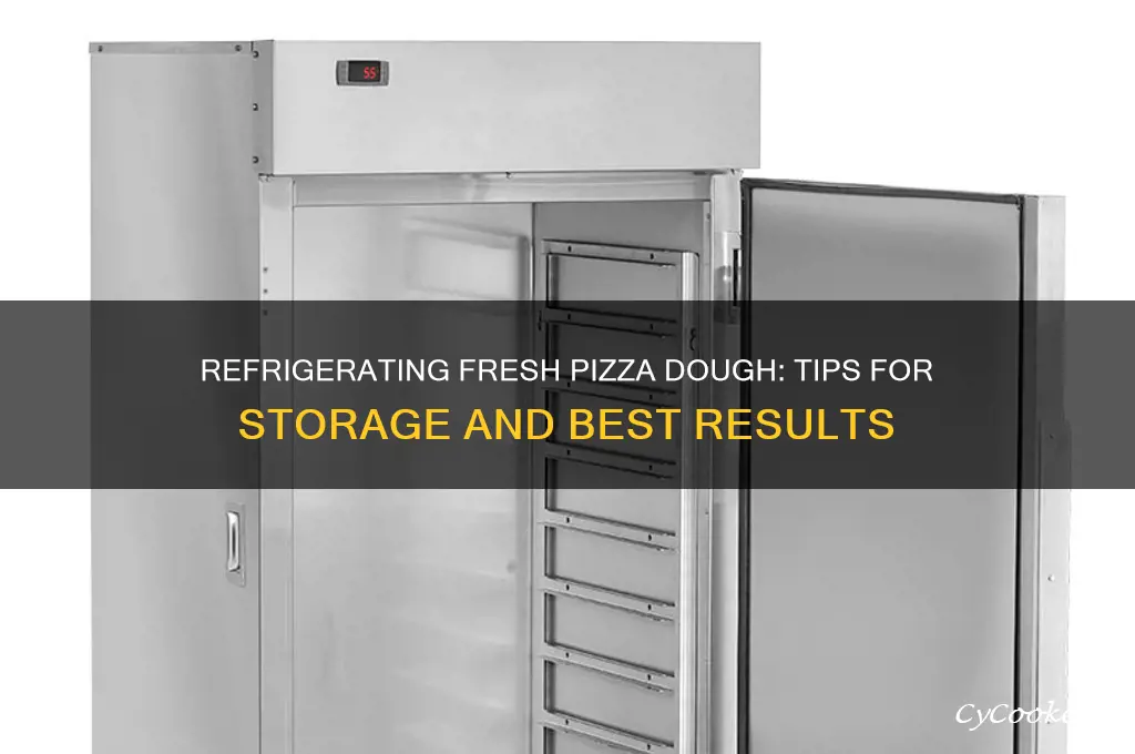 Refrigerating Fresh Pizza Dough: Tips For Storage And Best Results ...