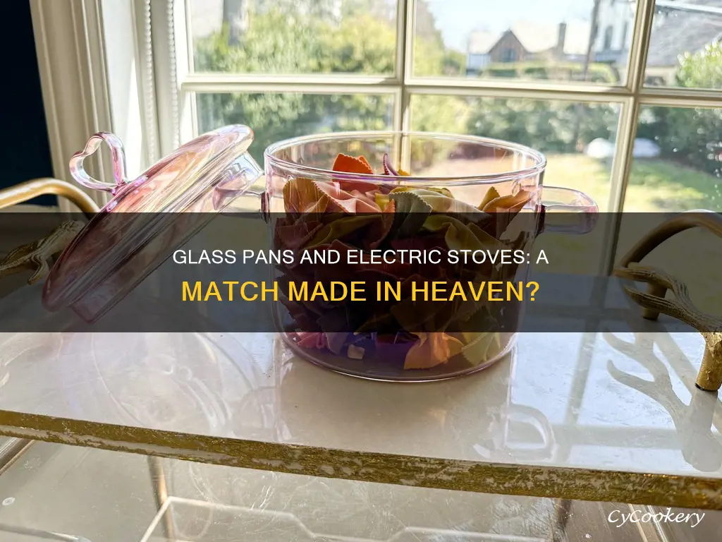 Glass Pans And Electric Stoves: A Match Made In Heaven? | CyCookery