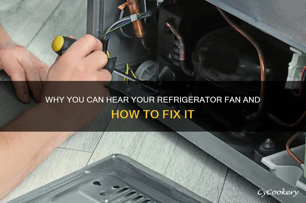 Why You Can Hear Your Refrigerator Fan And How To Fix It | CyCookery