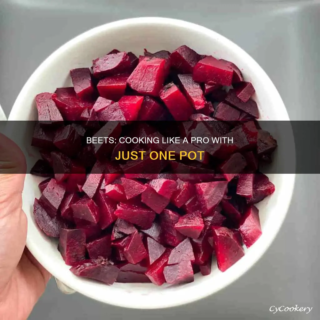Beets: Cooking Like A Pro With Just One Pot | CyCookery