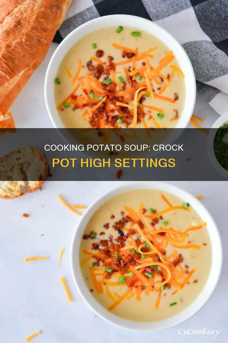 Cooking Potato Soup: Crock Pot High Settings | CyCookery