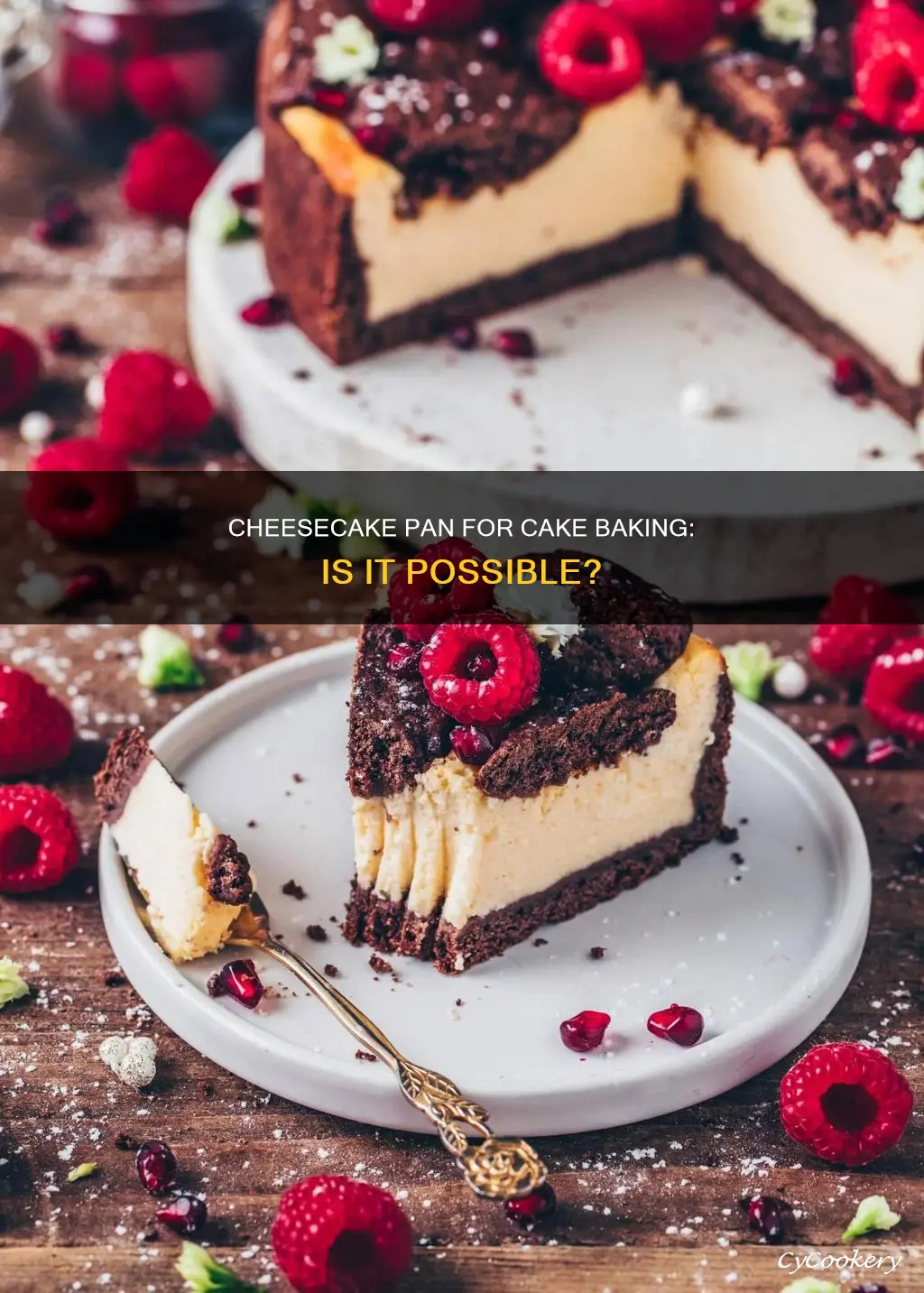 Cheesecake Pan For Cake Baking: Is It Possible? | CyCookery