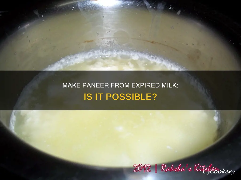 Make Paneer From Expired Milk: Is It Possible? | CyCookery