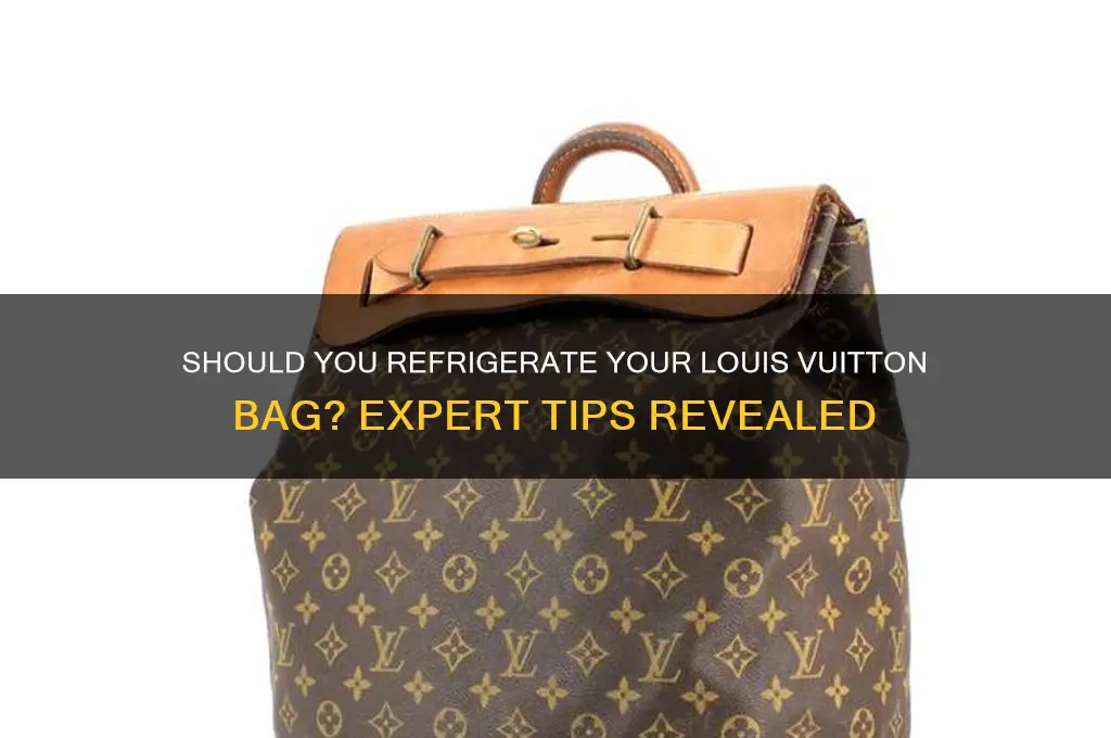 Should You Refrigerate Your Louis Vuitton Bag? Expert Tips Revealed ...