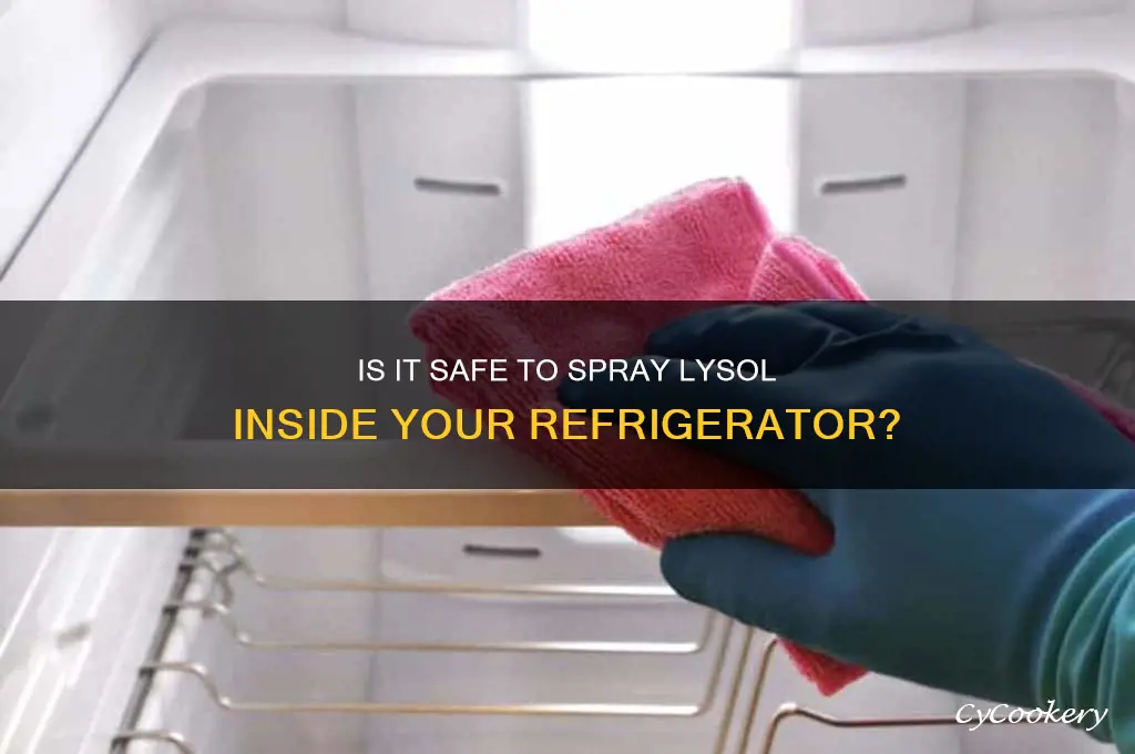 Is It Safe To Spray Lysol Inside Your Refrigerator? | CyCookery