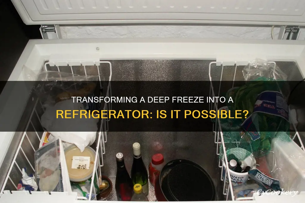 Transforming A Deep Freeze Into A Refrigerator: Is It Possible? | CyCookery
