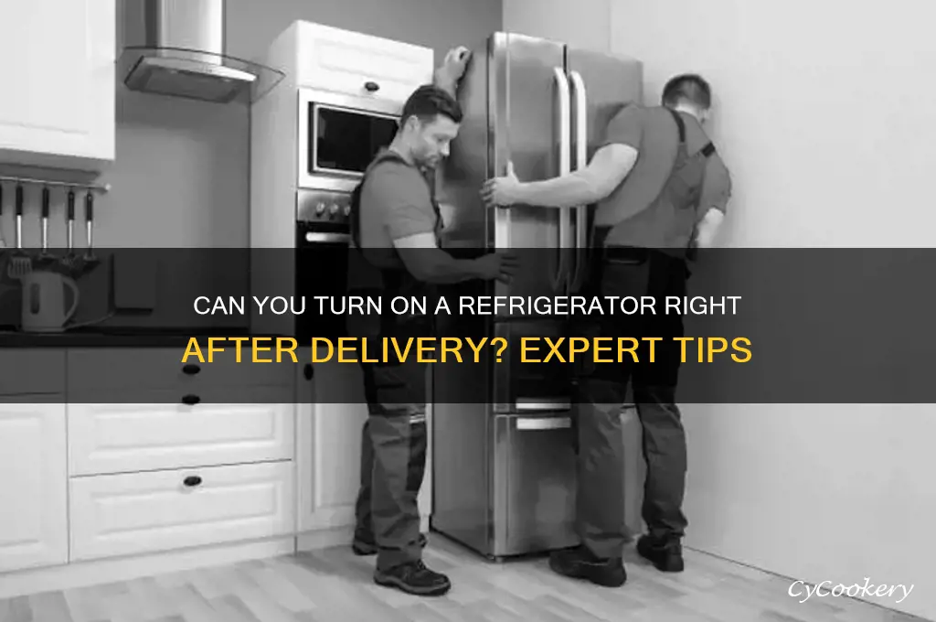 Can You Turn On A Refrigerator Right After Delivery? Expert Tips ...