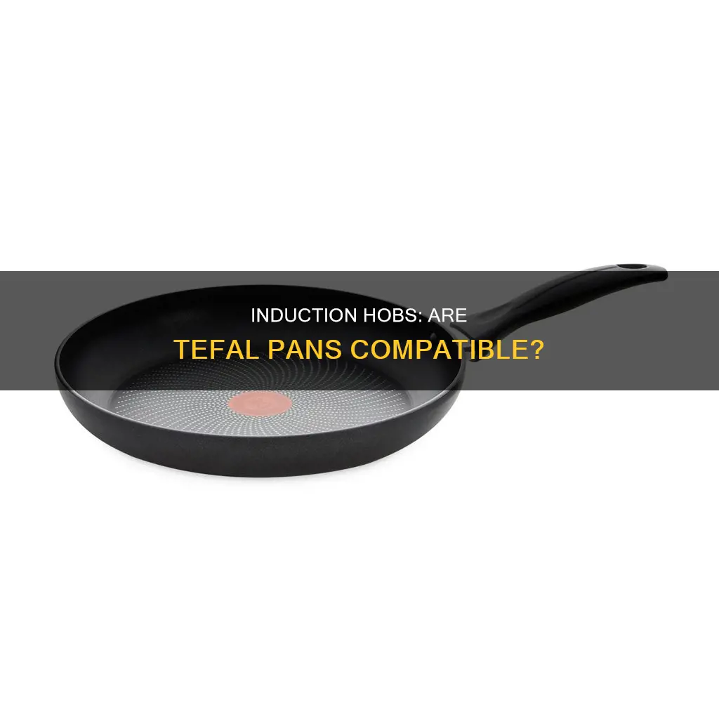 Induction Hobs: Are Tefal Pans Compatible? | CyCookery