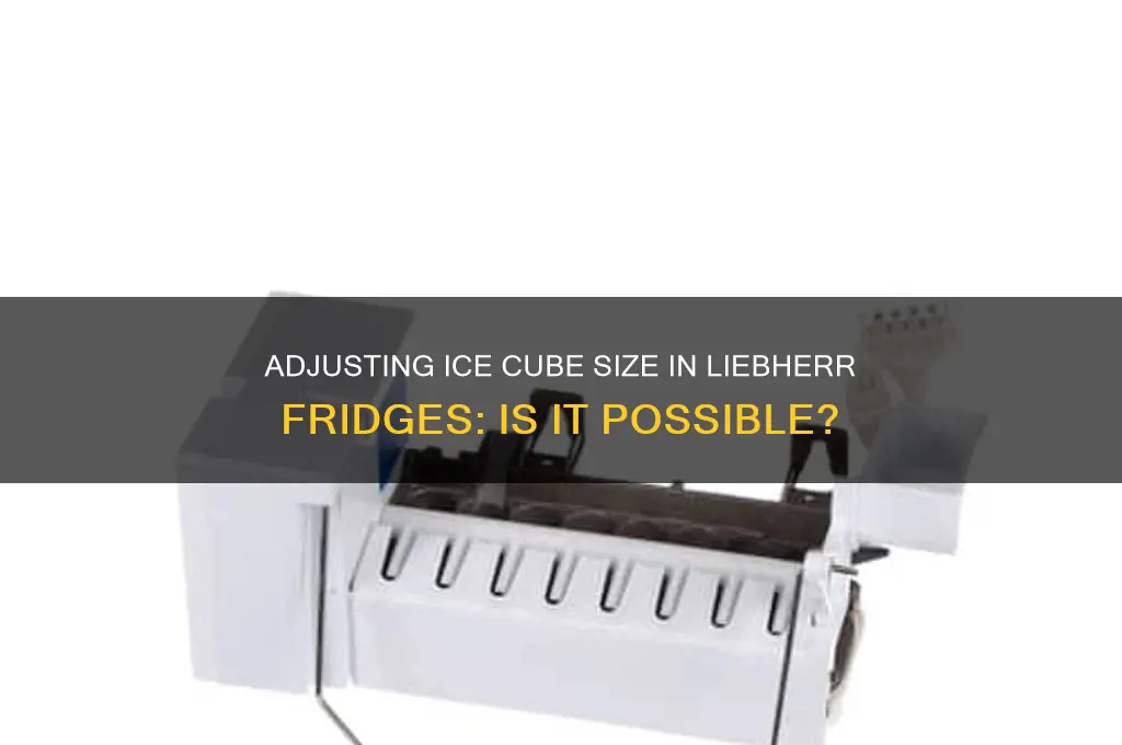 Adjusting Ice Cube Size In Liebherr Fridges: Is It Possible? | CyCookery
