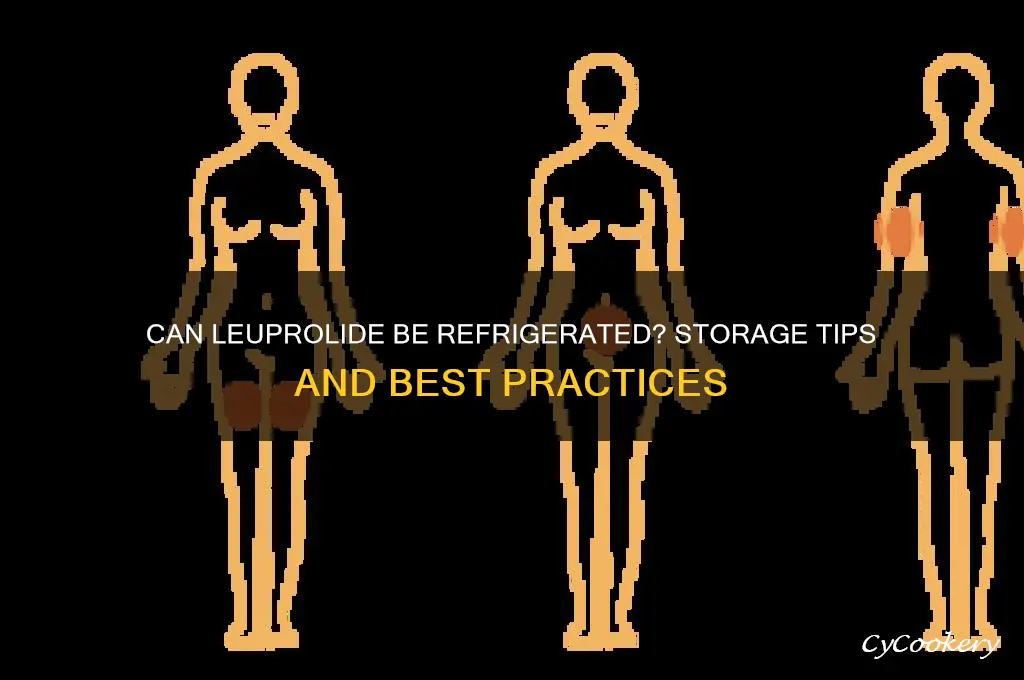 Can Leuprolide Be Refrigerated? Storage Tips And Best Practices | CyCookery