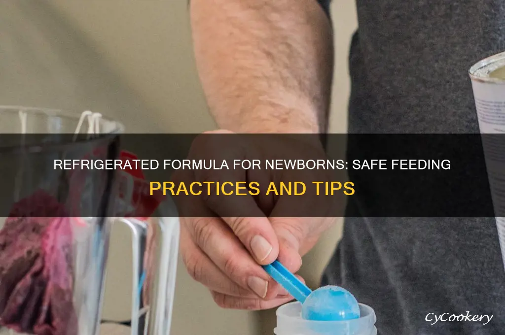 Refrigerated Formula For Newborns: Safe Feeding Practices And Tips ...