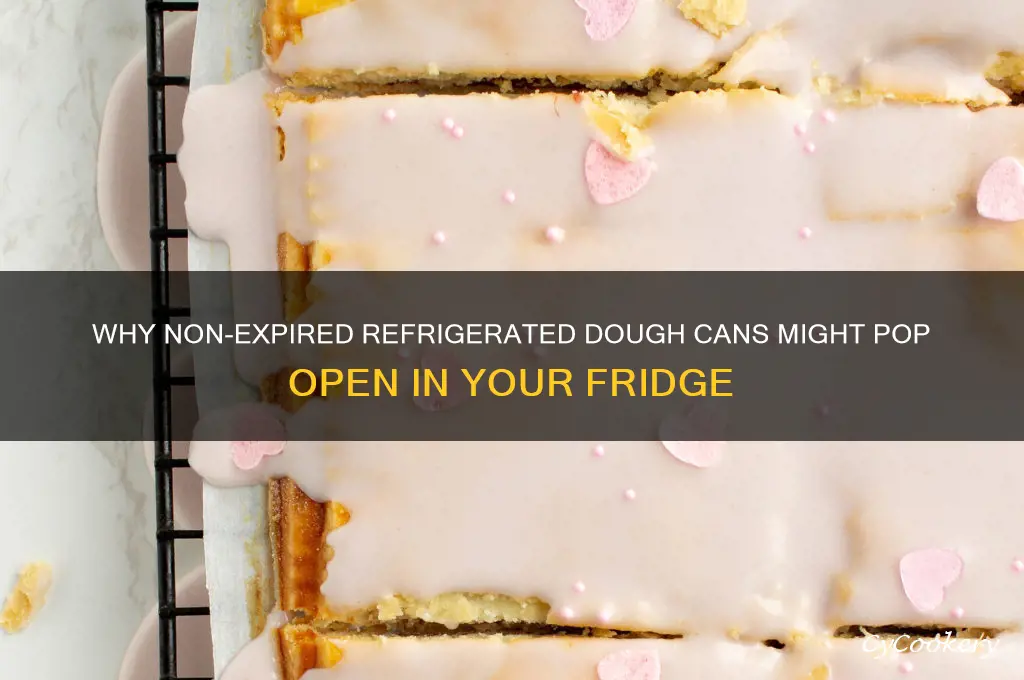 Why Non-Expired Refrigerated Dough Cans Might Pop Open In Your Fridge ...