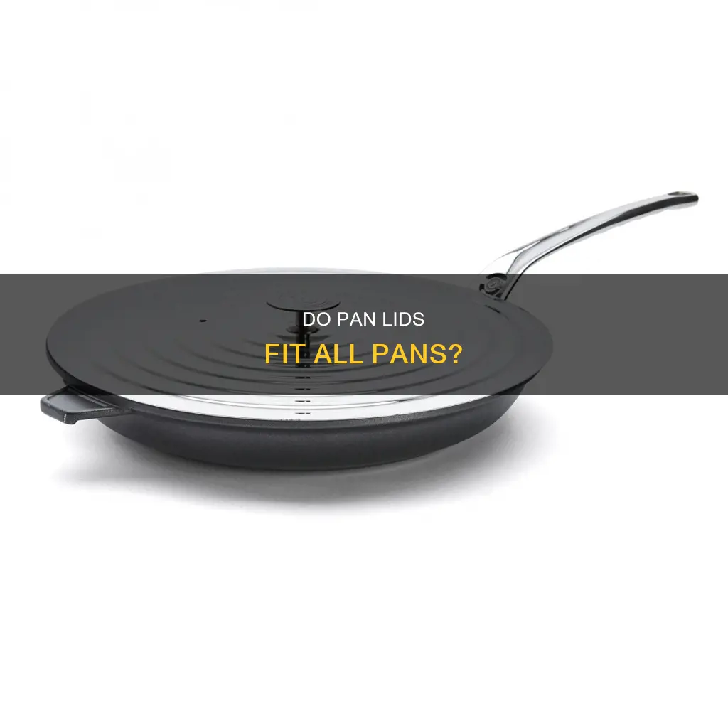 Do Pan Lids Fit All Pans? | CyCookery