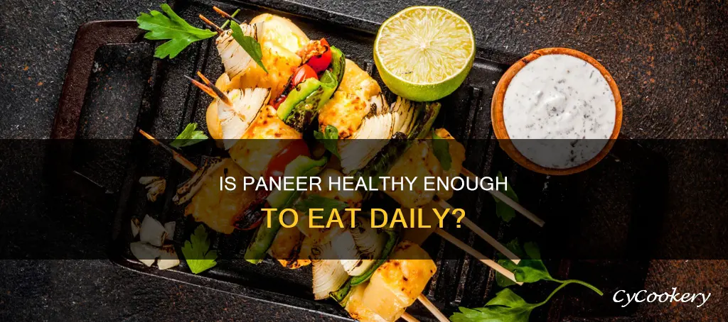 Is Paneer Healthy Enough To Eat Daily? | CyCookery