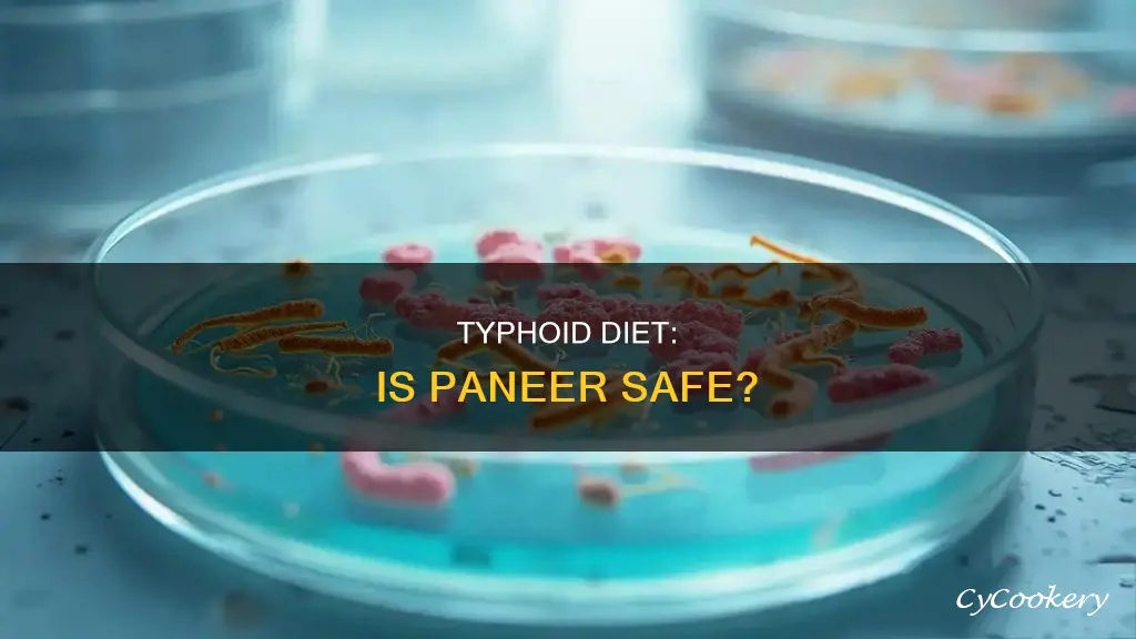Typhoid Diet: Is Paneer Safe? | CyCookery