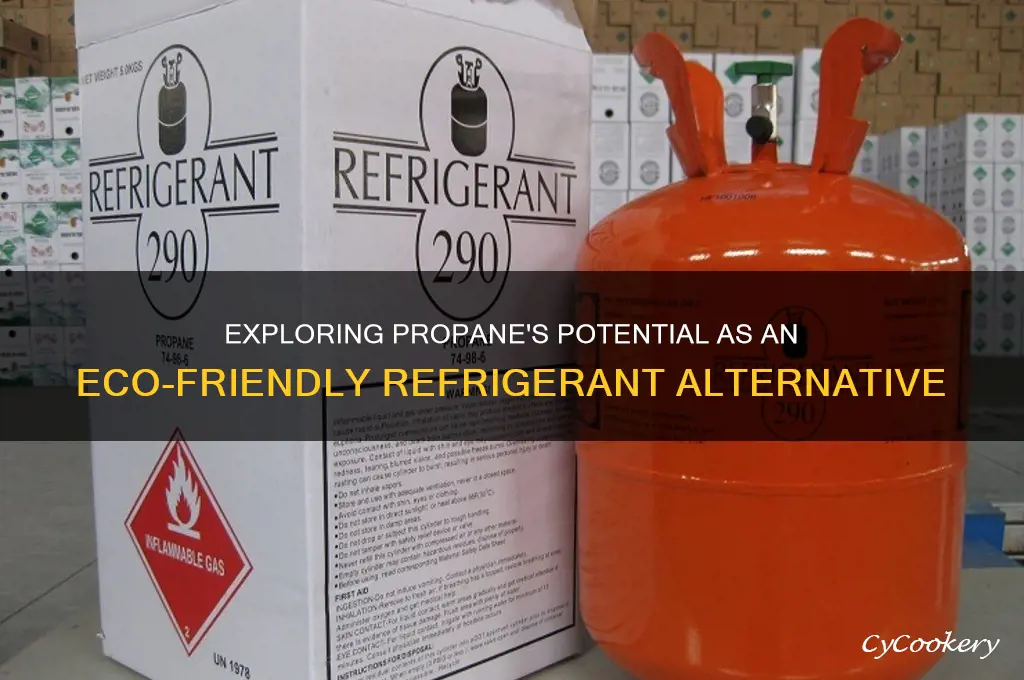 Exploring Propane's Potential As An Eco-Friendly Refrigerant ...