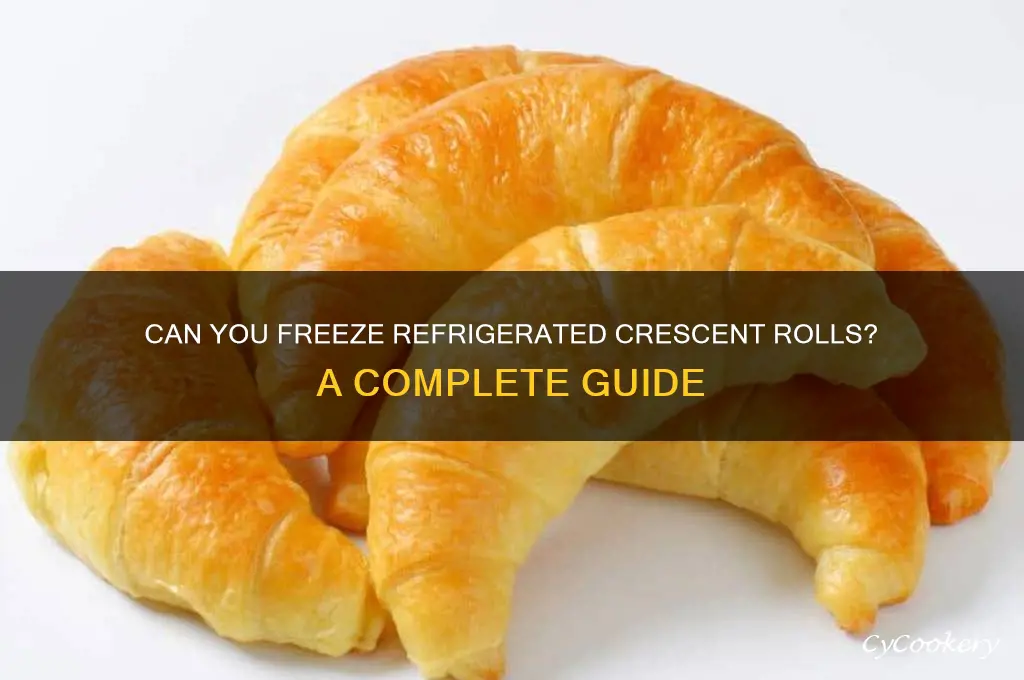 Can You Freeze Refrigerated Crescent Rolls? A Complete Guide | CyCookery