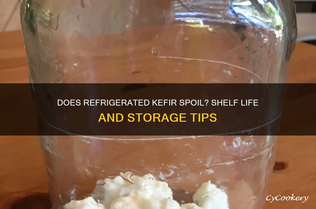 Does Refrigerated Kefir Spoil? Shelf Life And Storage Tips | CyCookery