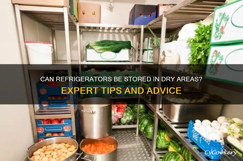 Can Refrigerators Be Stored In Dry Areas? Expert Tips And Advice ...