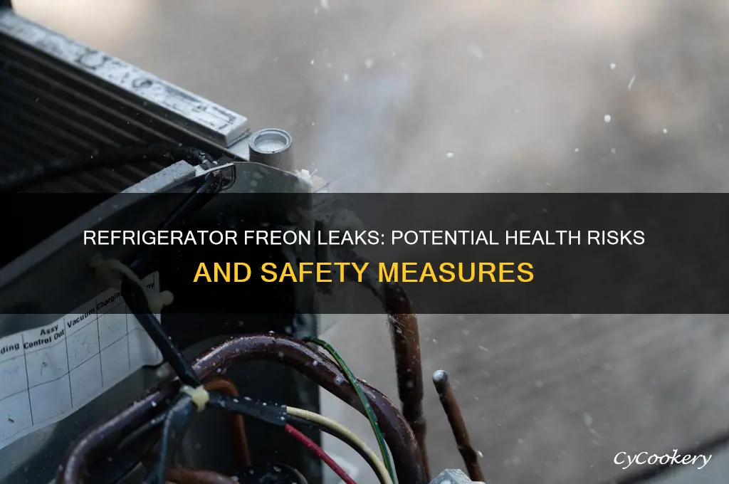 Refrigerator Freon Leaks: Potential Health Risks And Safety Measures ...