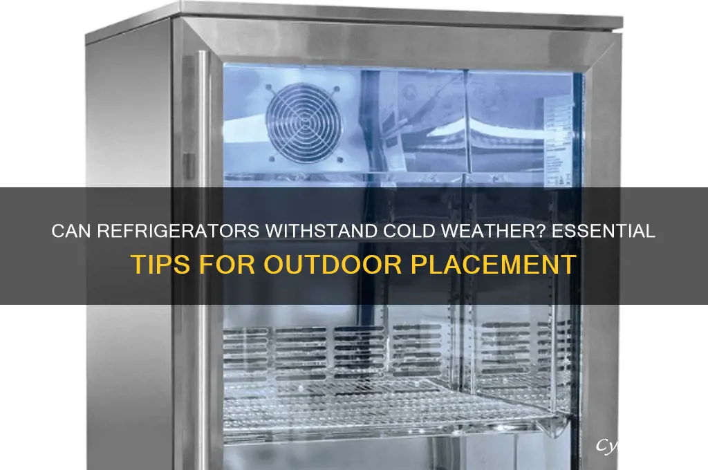 Can Refrigerators Withstand Cold Weather? Essential Tips For Outdoor ...