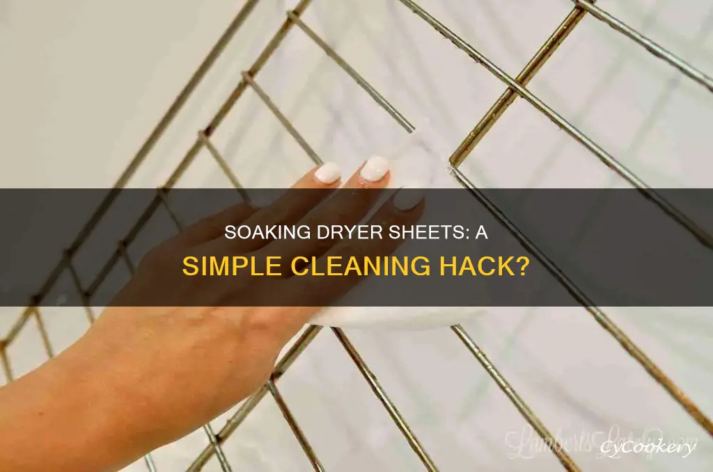 Soaking Dryer Sheets: A Simple Cleaning Hack? | CyCookery