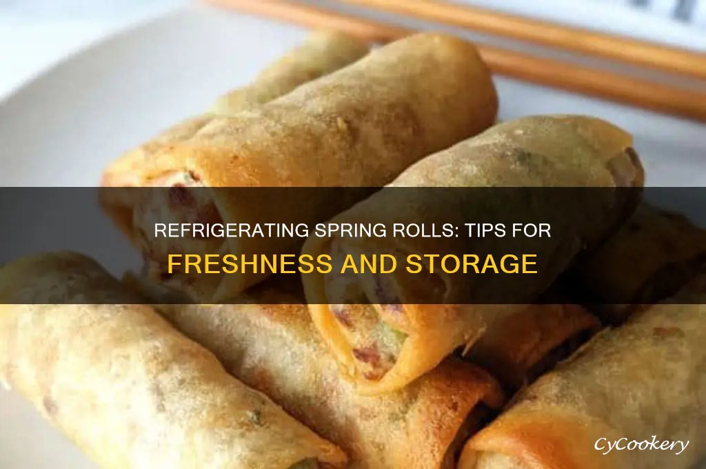 Refrigerating Spring Rolls: Tips For Freshness And Storage | CyCookery