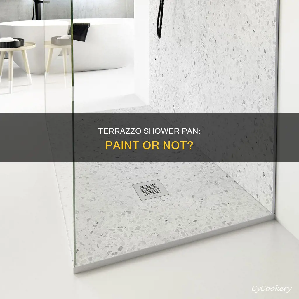 Terrazzo Shower Pan: Paint Or Not? | CyCookery