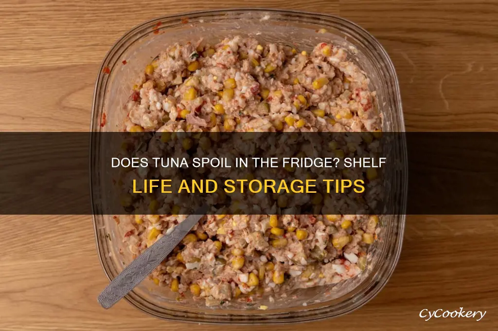 Does Tuna Spoil In The Fridge? Shelf Life And Storage Tips | CyCookery
