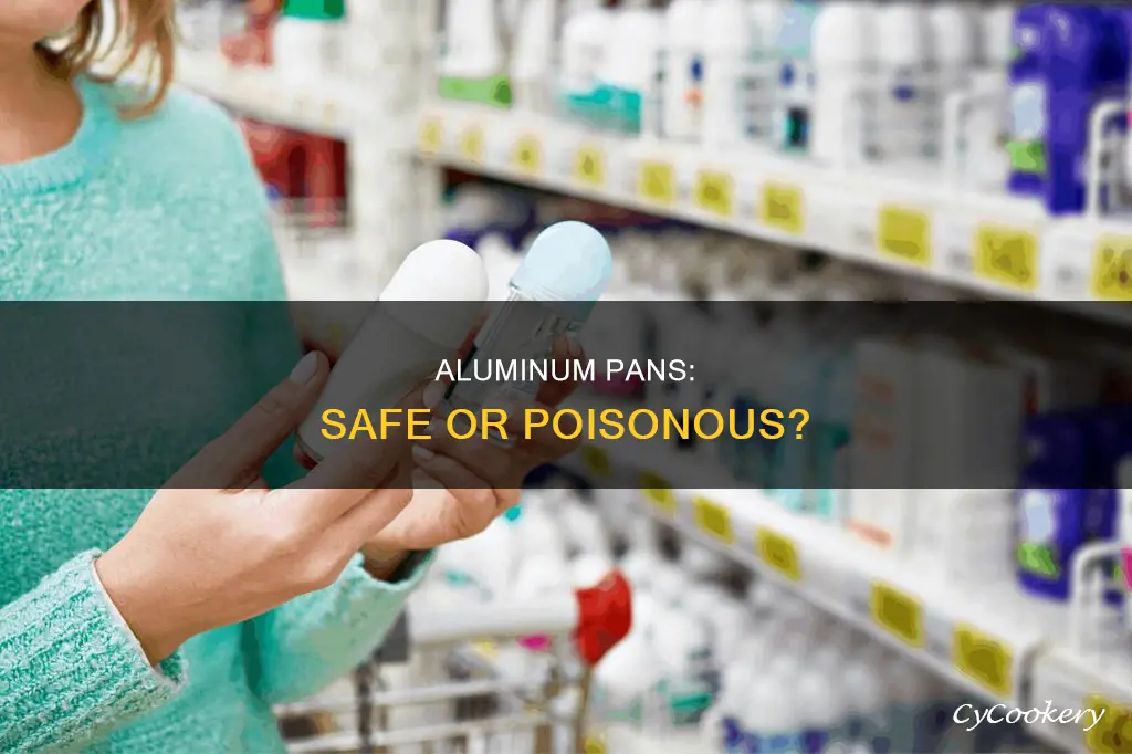 Aluminum Pans: Safe Or Poisonous? | CyCookery