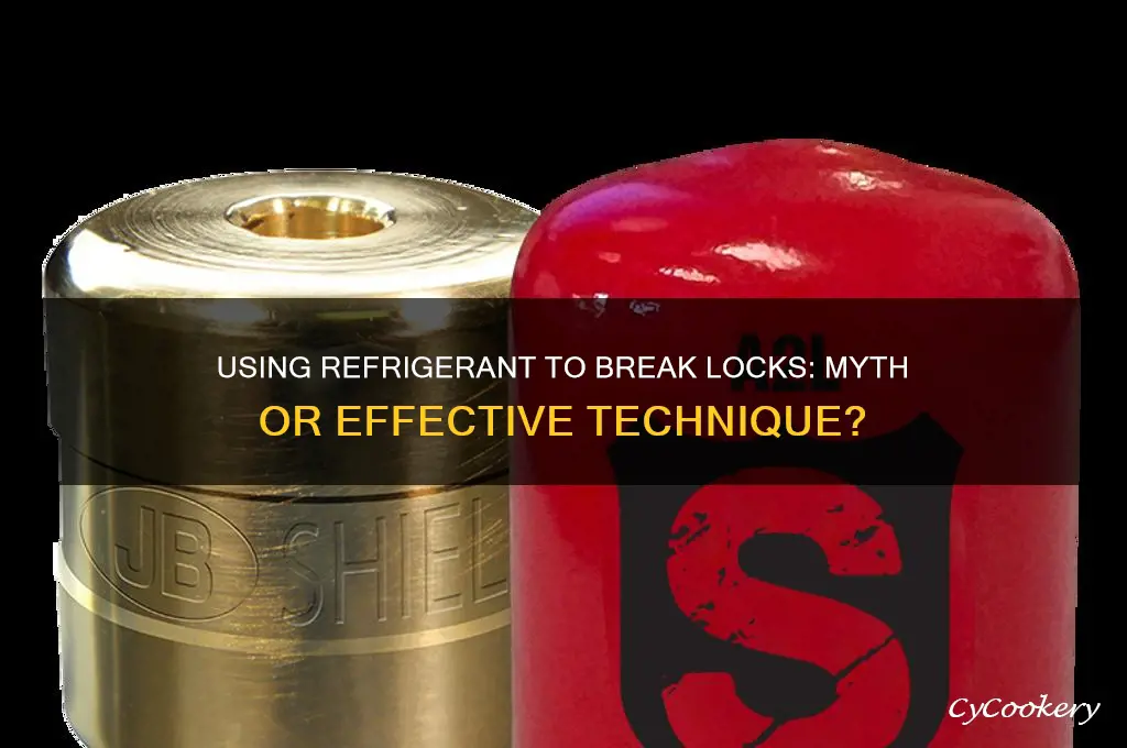 Using Refrigerant To Break Locks: Myth Or Effective Technique? | CyCookery